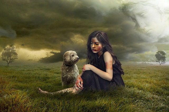 Your Dog Knows When You Are Upset - Happy Mutt